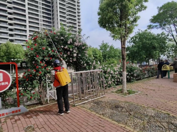 卧龙区七一街道中州社区开展蚊虫消杀工作 筑牢健康防护屏障-中原经济网